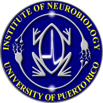Neuroimaging and Electrophysiology Facility