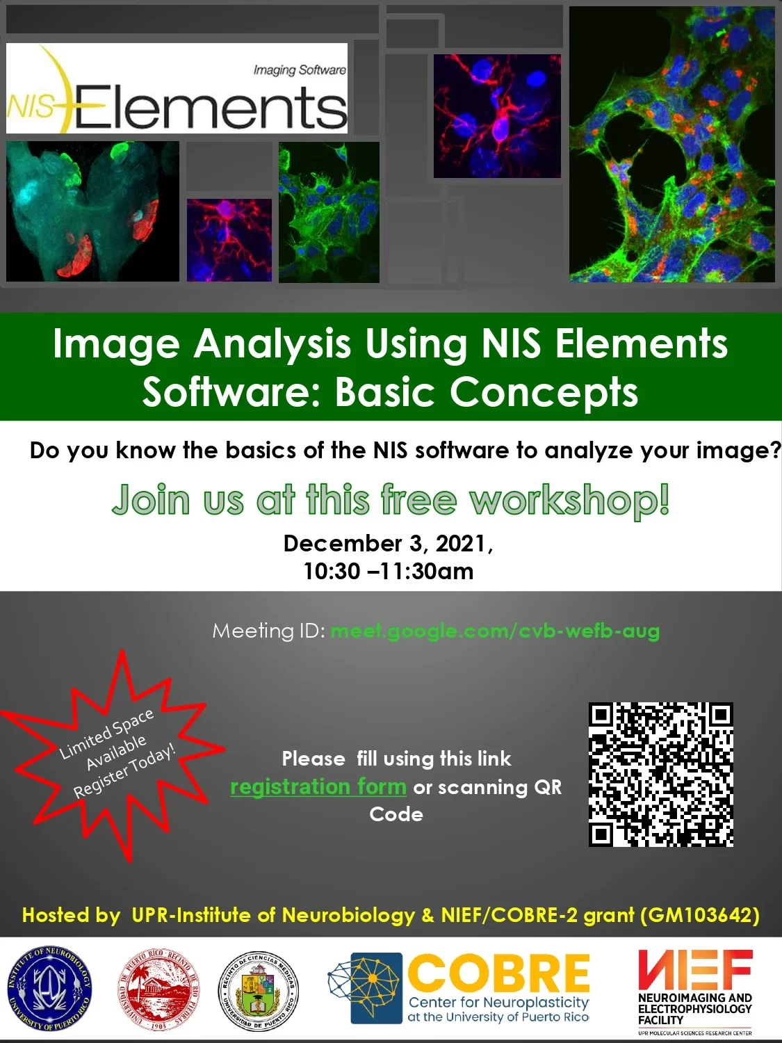 Image Analysis Using NIS Elements Software: Basic Concepts - Neuroimaging and Electrophysiology ...